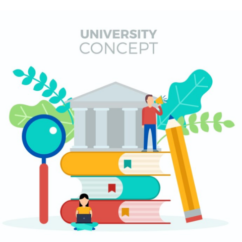 Understanding the College Admissions Process: A Step-by-Step Guide ...